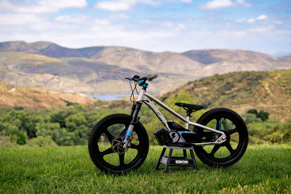 Introducing The New 20eDRIVE Team Edition - STACYC